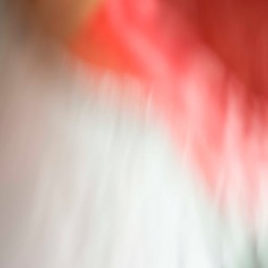 christine godeau | Saatchi Art