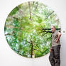 David Anthony Hall Artworks | Saatchi Art