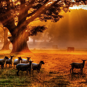 Steve Lindon | Saatchi Art