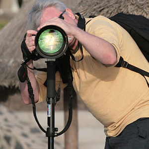 Joe Fox | Saatchi Art