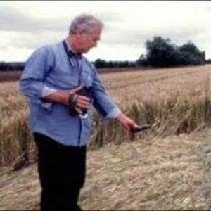 Ron Russell | Saatchi Art