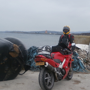 verner finlay | Saatchi Art