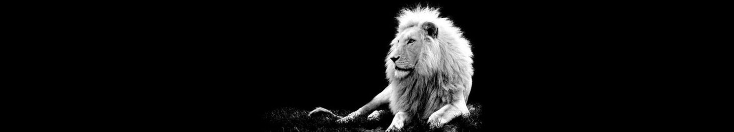 Rathish Ravi | Saatchi Art