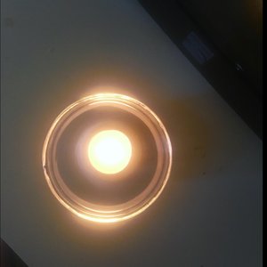 Lyle West | Saatchi Art