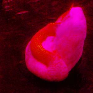 Gregory Bolton | Saatchi Art