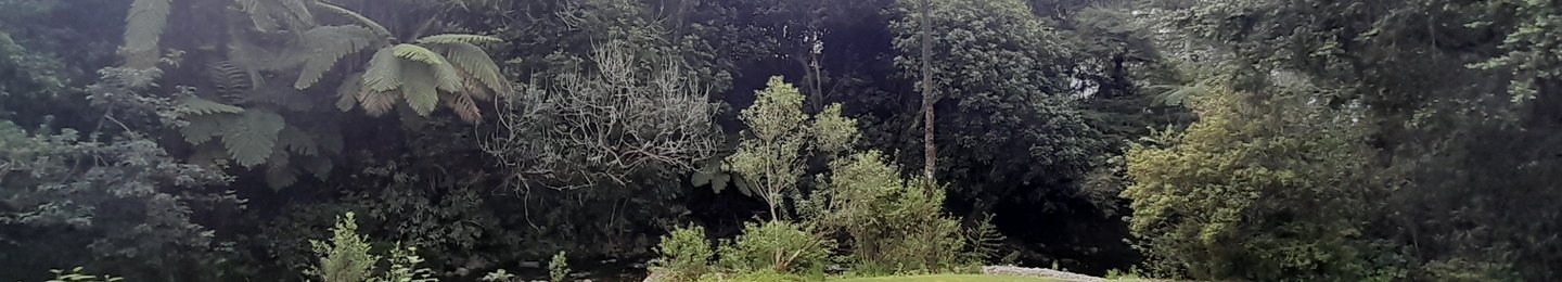 David Beveridge | Saatchi Art