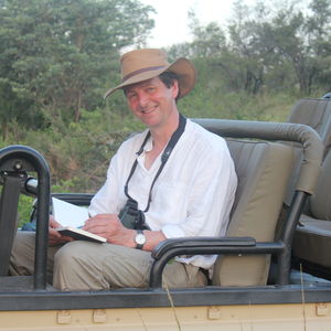 Andrew Stock | Saatchi Art