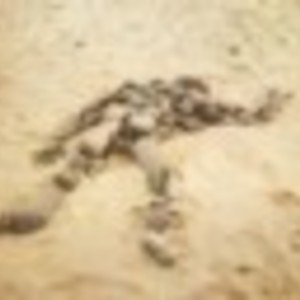 John Shapter | Saatchi Art