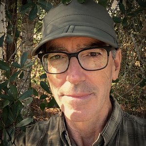 David Korte | Saatchi Art