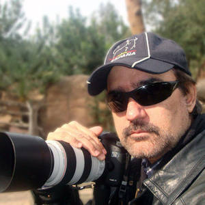 Pedro Jarque Krebs | Saatchi Art