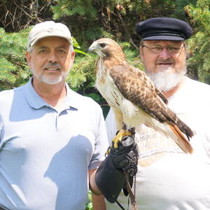 Justin Dancing Hawk | Saatchi Art