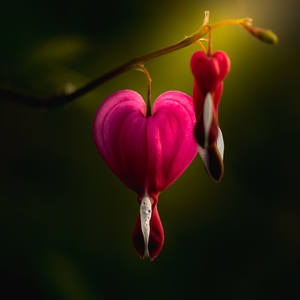 Paul Barson | Saatchi Art