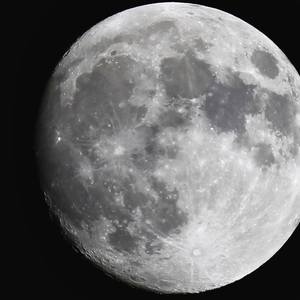 Matthew Storment | Saatchi Art