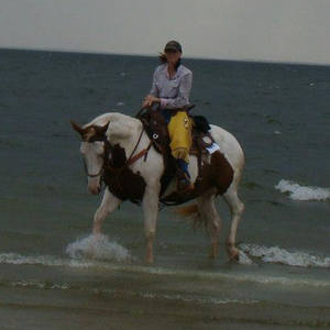 June Stevens | Saatchi Art