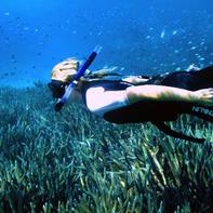 Catch of the Day! - Limited Edition 250 of 250 Printmaking by Meagan ...