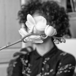 Sonia Carballo Socatoba | Saatchi Art