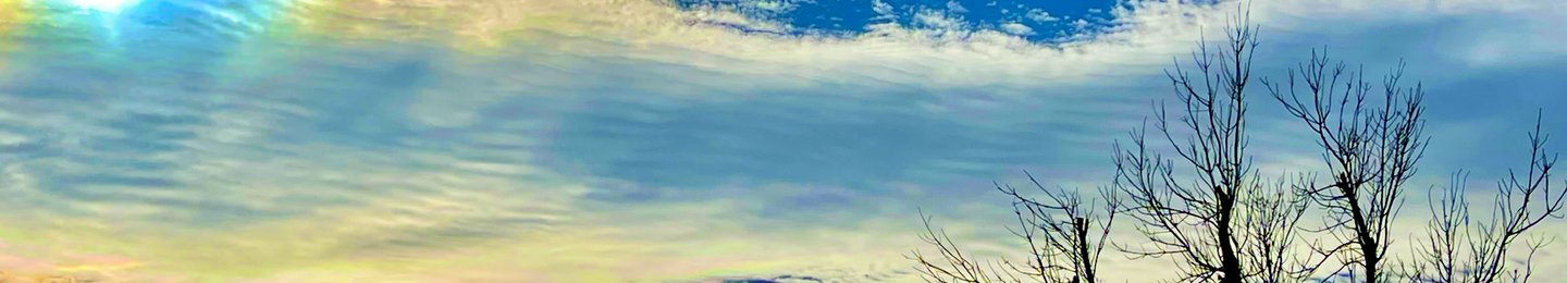 Angela Romeo | Saatchi Art