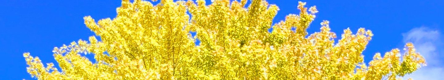 David Peterson | Saatchi Art