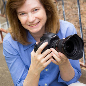 Julie Legg | Saatchi Art