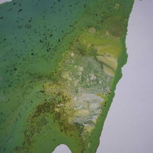 Ally McGinn | Saatchi Art