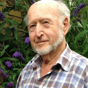 Joseph Salamon | Saatchi Art