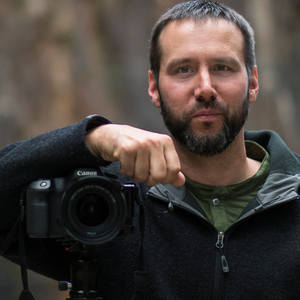 Colin Payne | Saatchi Art