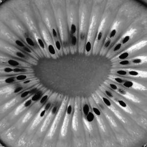 Renata Gordon-Johnson | Saatchi Art