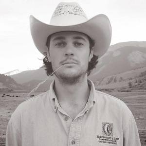 Ian Starnes | Saatchi Art